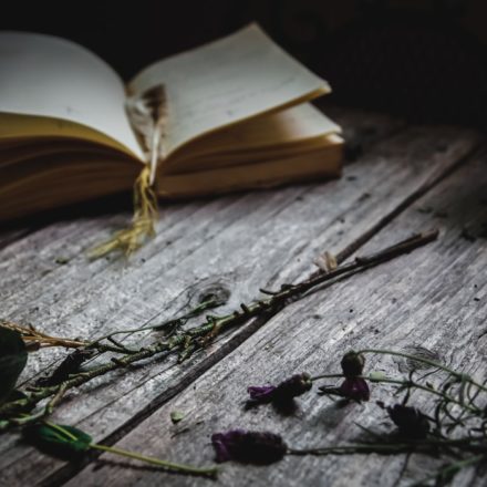 Top 10 moderne Nederlandse literatuur van de 21e eeuw - #1 Boekensite